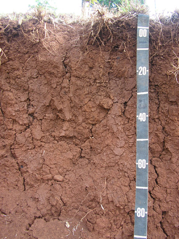 Definição dos Latossolos (EMBRAPA, 2006)